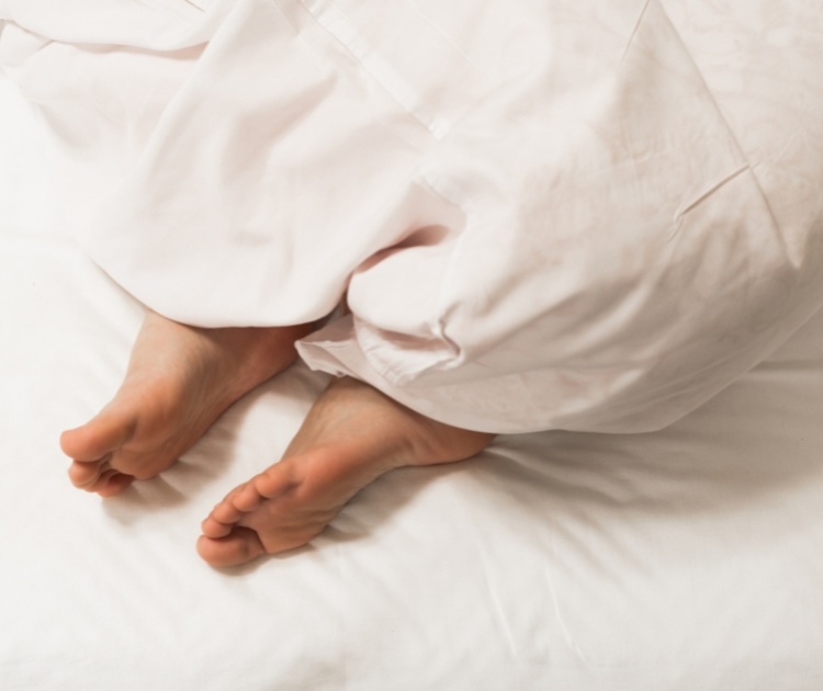 Dust Mites in the Bed? Signs You Shouldn't Ignore